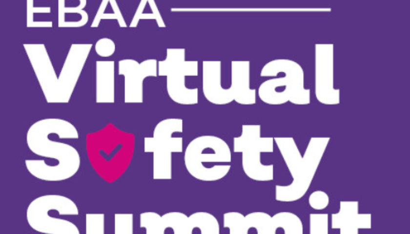 Pilot Peer Support Programmes: one month after the implementation ...